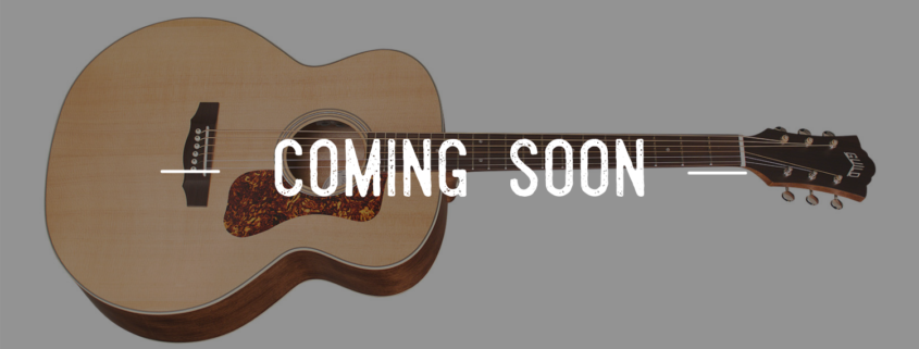 Guild Jumbo Acoustics | Guild Guitars